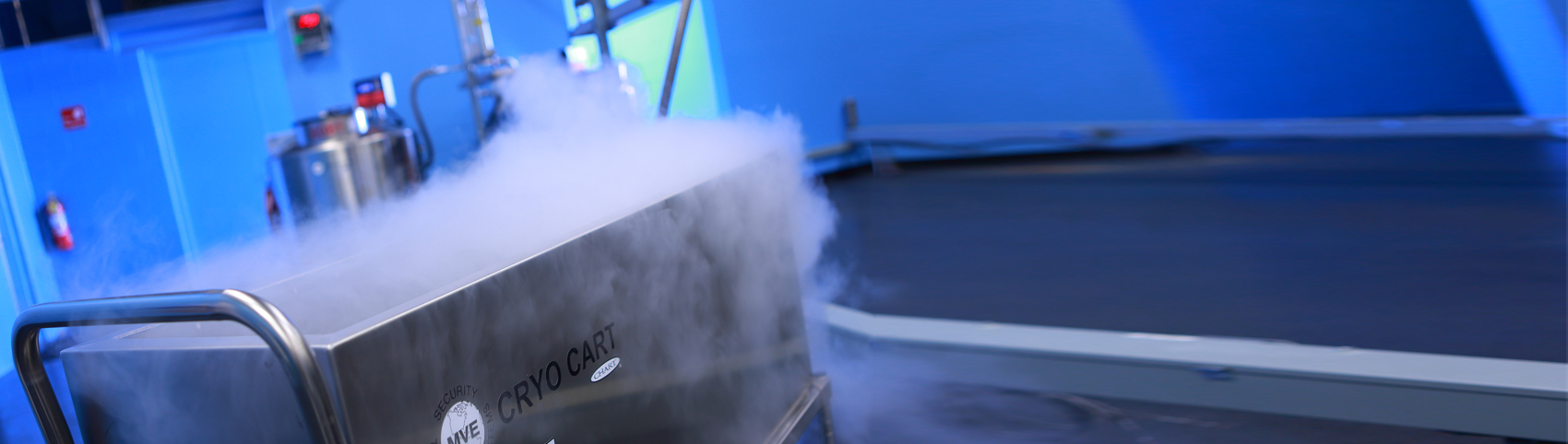 Dry Ice